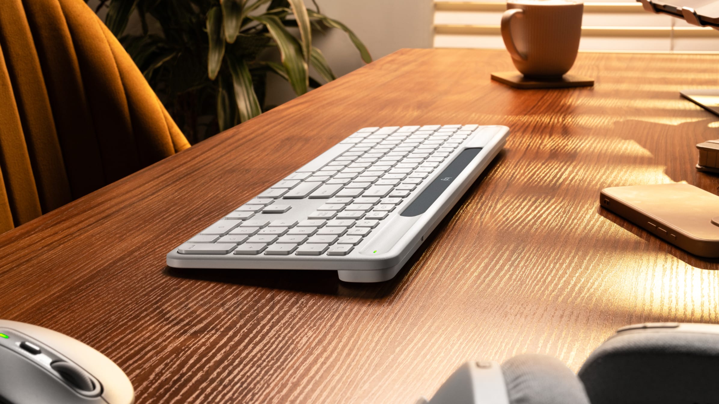 Mechanical vs. Analog Keyboards: Which to Choose? | Logitech